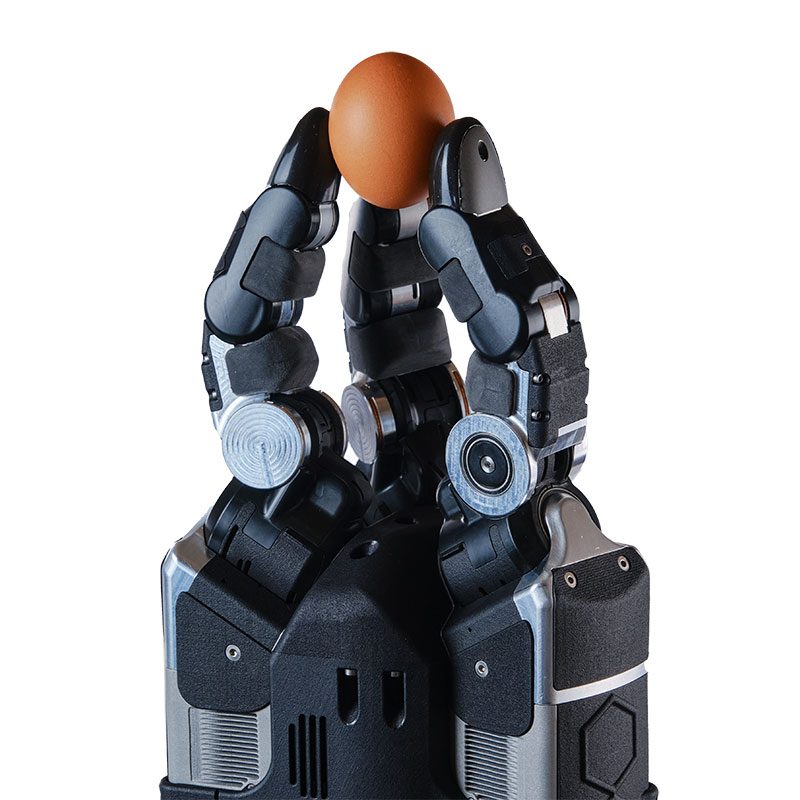 New Shadow Hand, DEX-EE